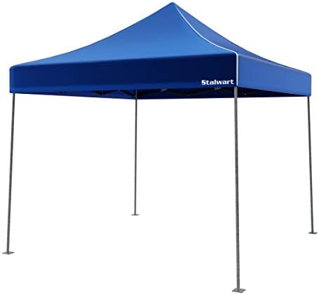 Canopy vs Gazebo - What's the Difference?[2023 Guide]
