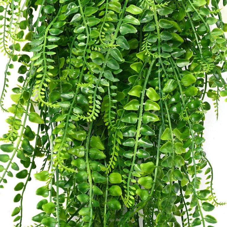 7 Best Gazebo Climbing Plants: Reviews & Guide [2025] - Gazebo Solution